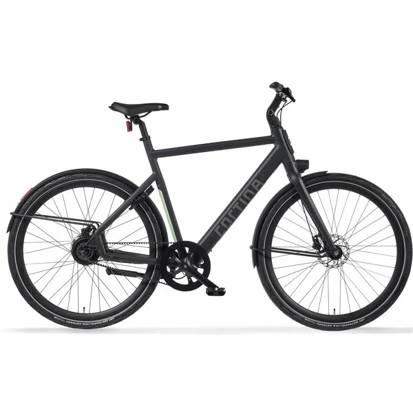 Rower elektryczny na pasku Cortina E-Lett Squirrel Grey Mat ...